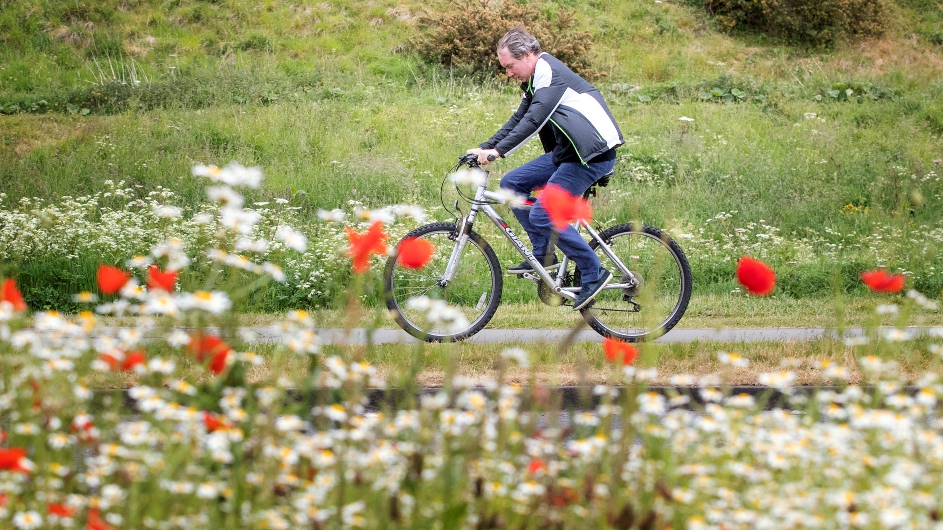 ‘Once-In-A-Lifetime Opportunity’ To Speed Up Climate Action With Green ...