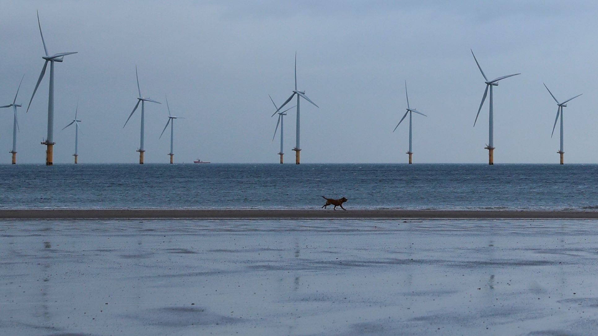 UK's ScottishPower, Shell To Invest In Offshore Wind Infrastructure ...