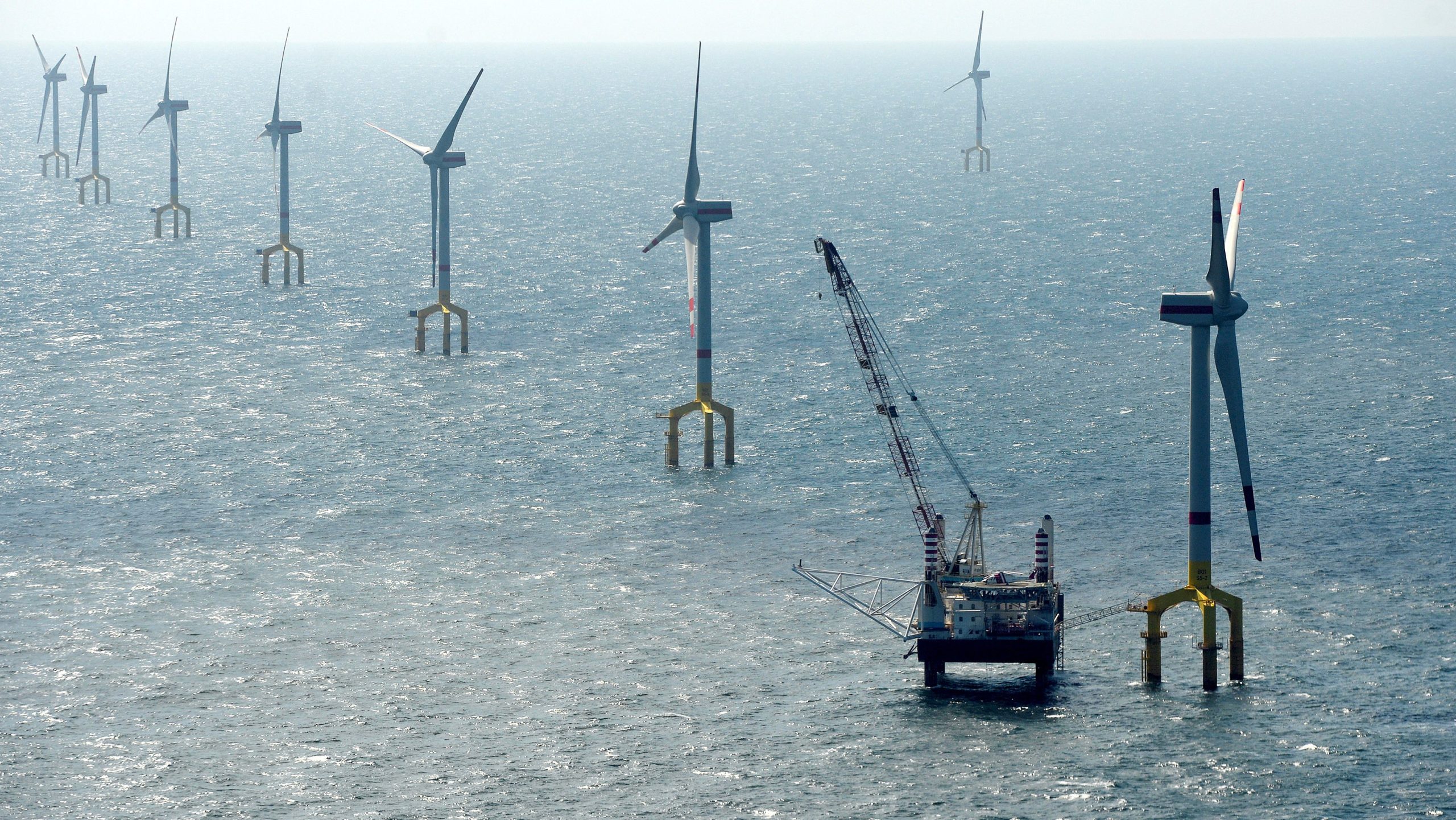 Dutch Grid Operator TenneT To Tender For Help With Vast Wind Plan - PM ...